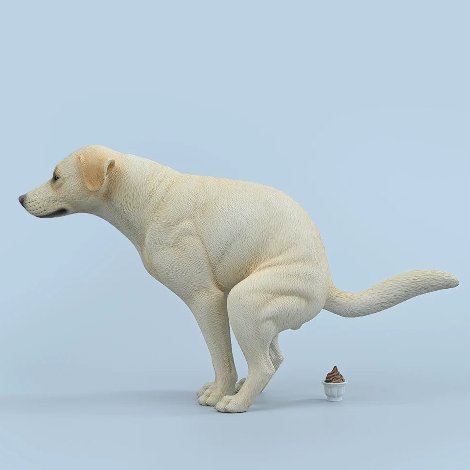 Labrador Pooping – AUA Premium Gifts