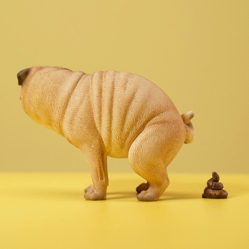Pug Pooping – AUA Premium Gifts
