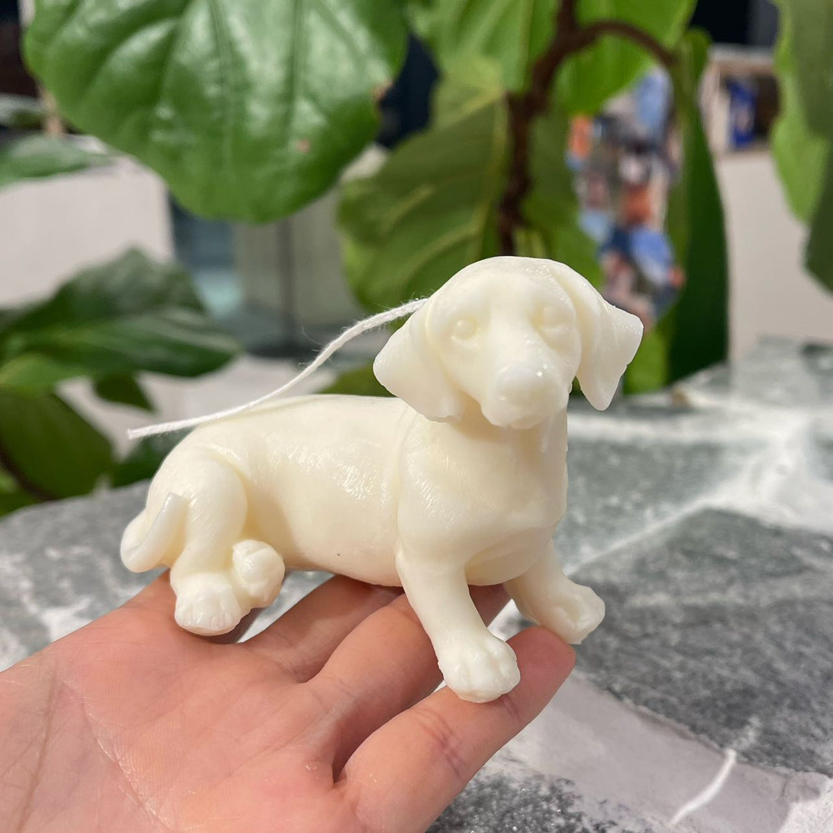 Dog Candle, Dachshund, Small size, Unscented – AUA Premium Gifts